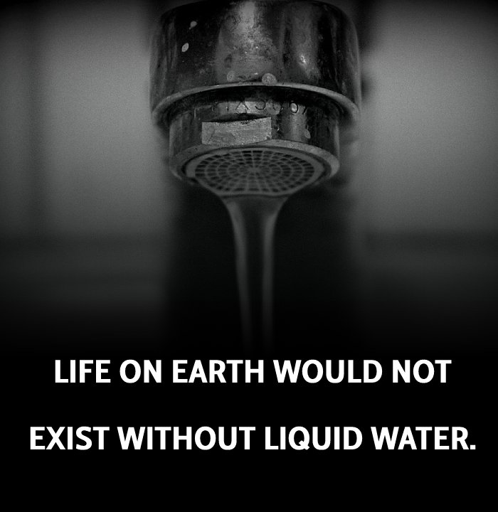 Save Water It s Not Just A Drop In The Bucket It s A Life Save
